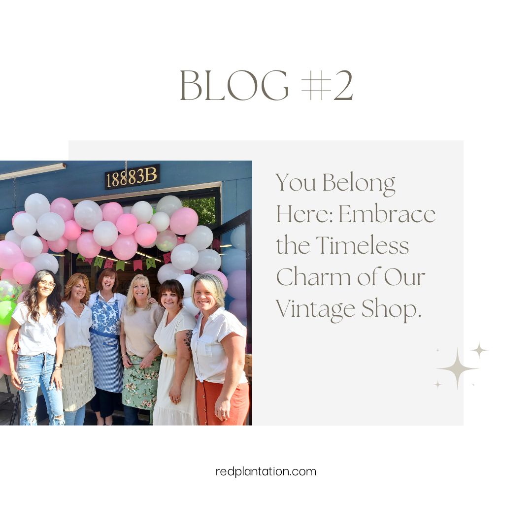You Belong Here: Embrace the Timeless Charm of Our Vintage Shop. – Red ...